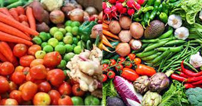 ശബരിമല സീസണും കനത്ത മഴയും; സംസ്ഥാനത്ത് പച്ചക്കറിവില കുത്തനെ കൂടുന്നു ...